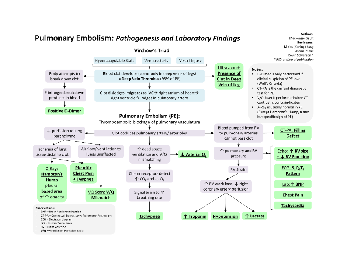NSG 2 PE Patho Concept Map - NUR 1119 - Studocu