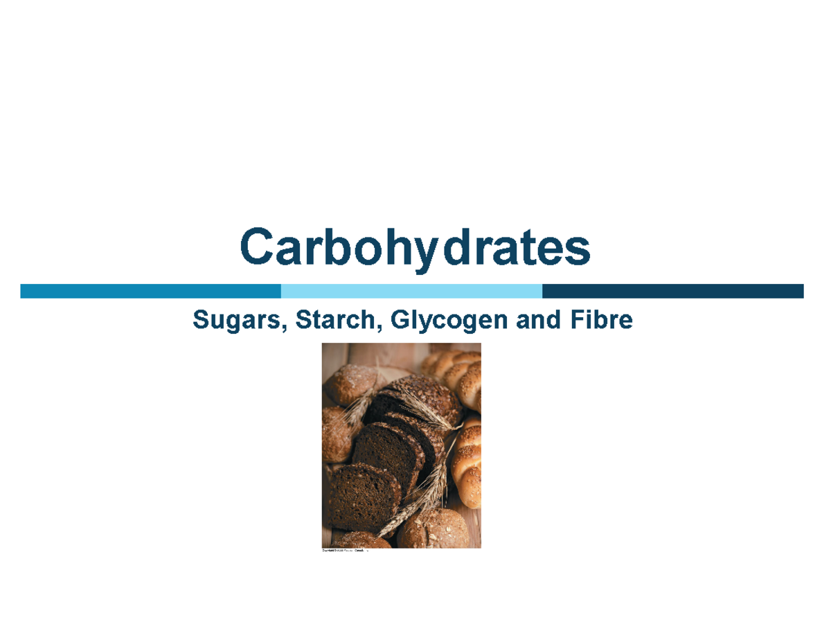 4.1 Student Slides Carbohydrates 1 slide per page - Carbohydrates ...