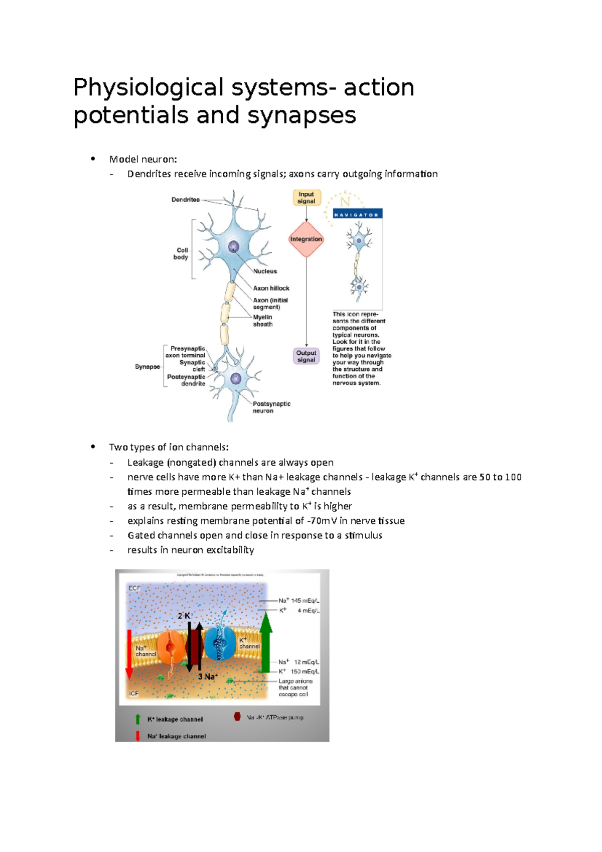 Action potential and cell communication lecture - Physiological systems ...