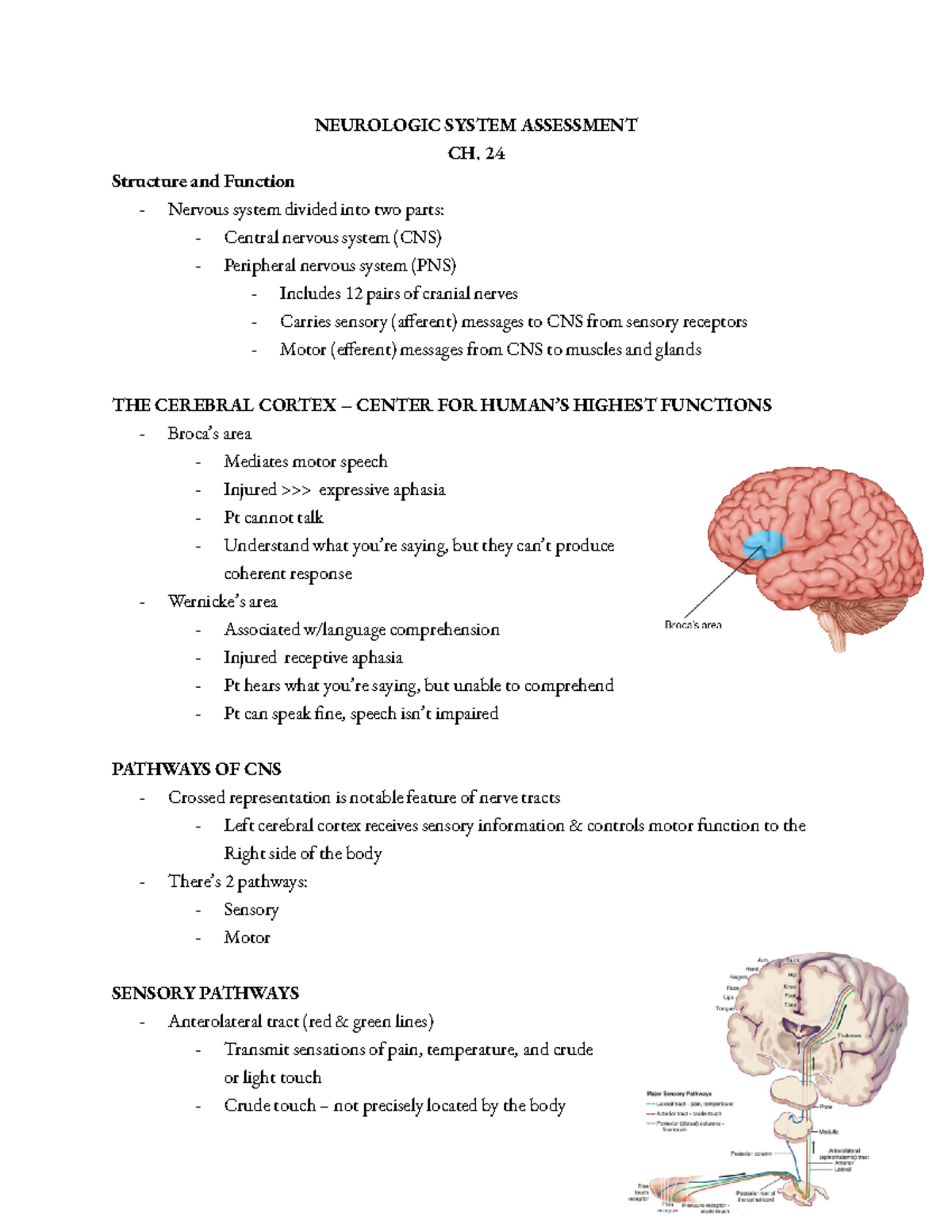Ch 24 Neuro - Jarvis Textbook Notes - NEUROLOGIC SYSTEM ASSESSMENT CH ...