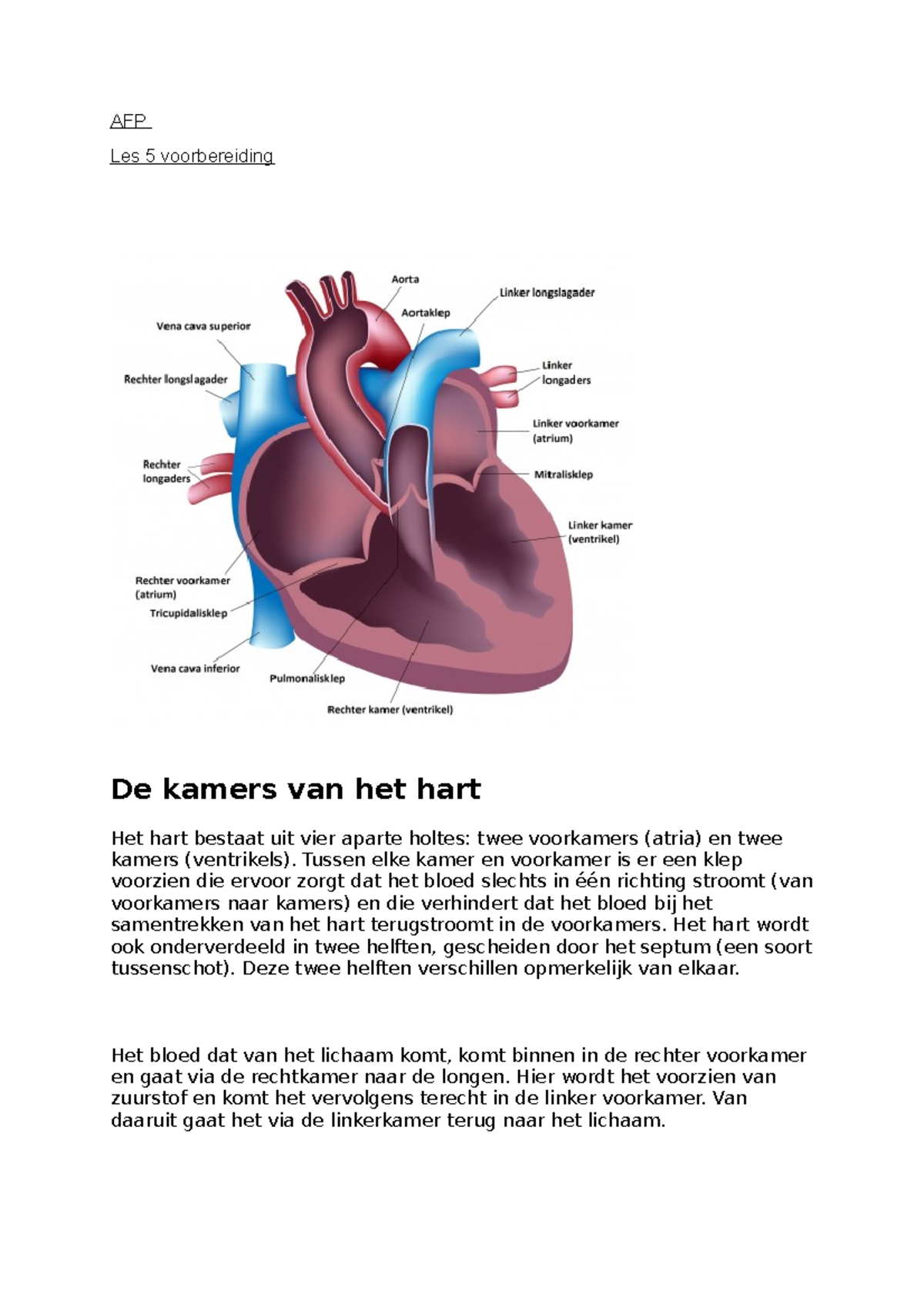 Voorbereiding les 5 - Hart structuur en functie, elektrofysiologie van ...