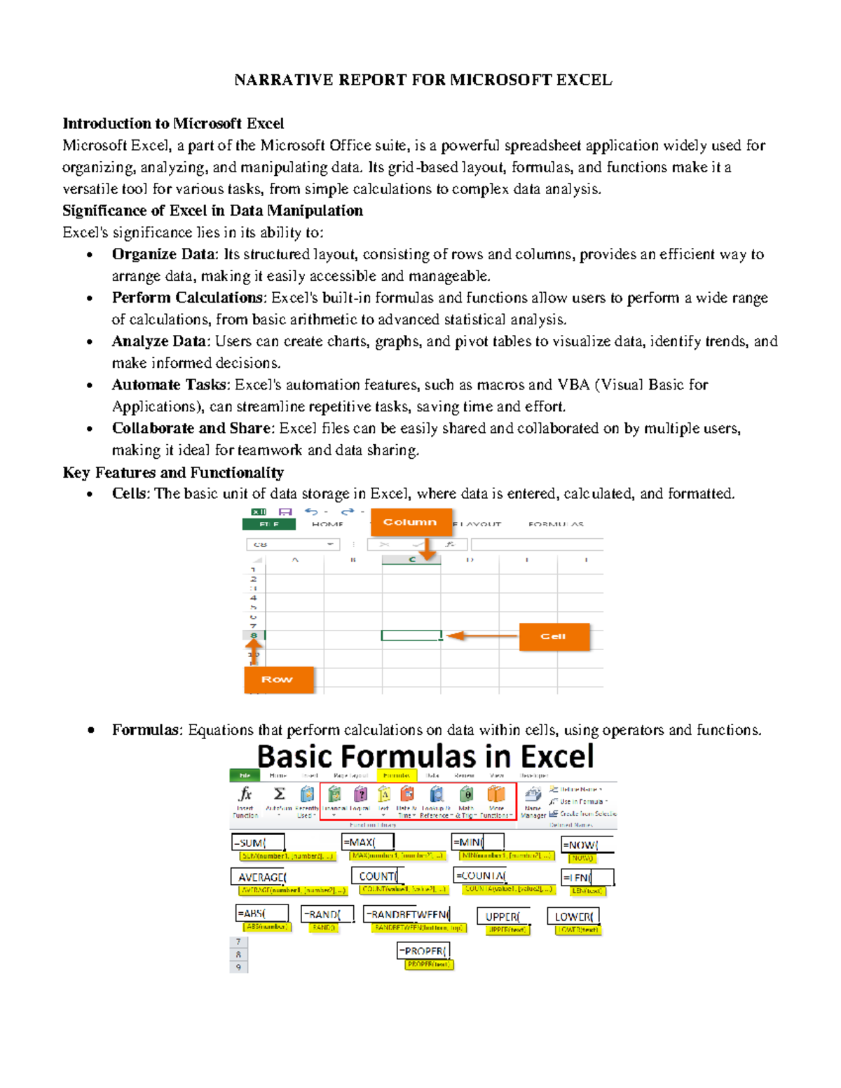Excel (narrative report) - NARRATIVE REPORT FOR MICROSOFT EXCEL ...