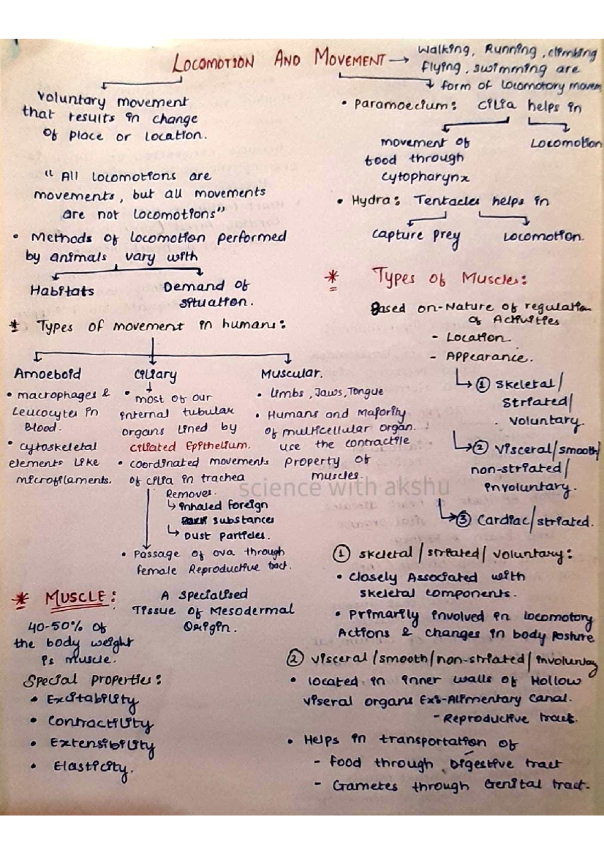 Locomotion and movement - Biology class 11 - Studocu
