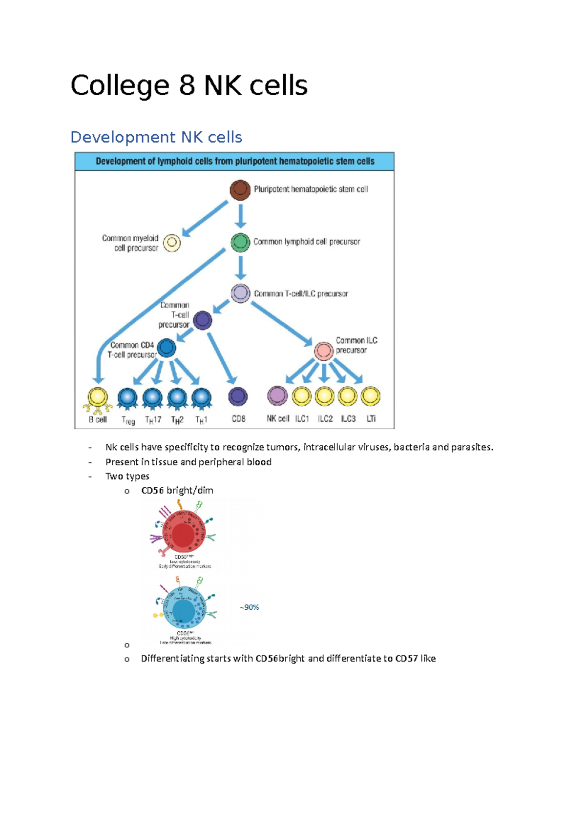HC 8 NK cells - College aantekeningen - College 8 NK cells Development ...