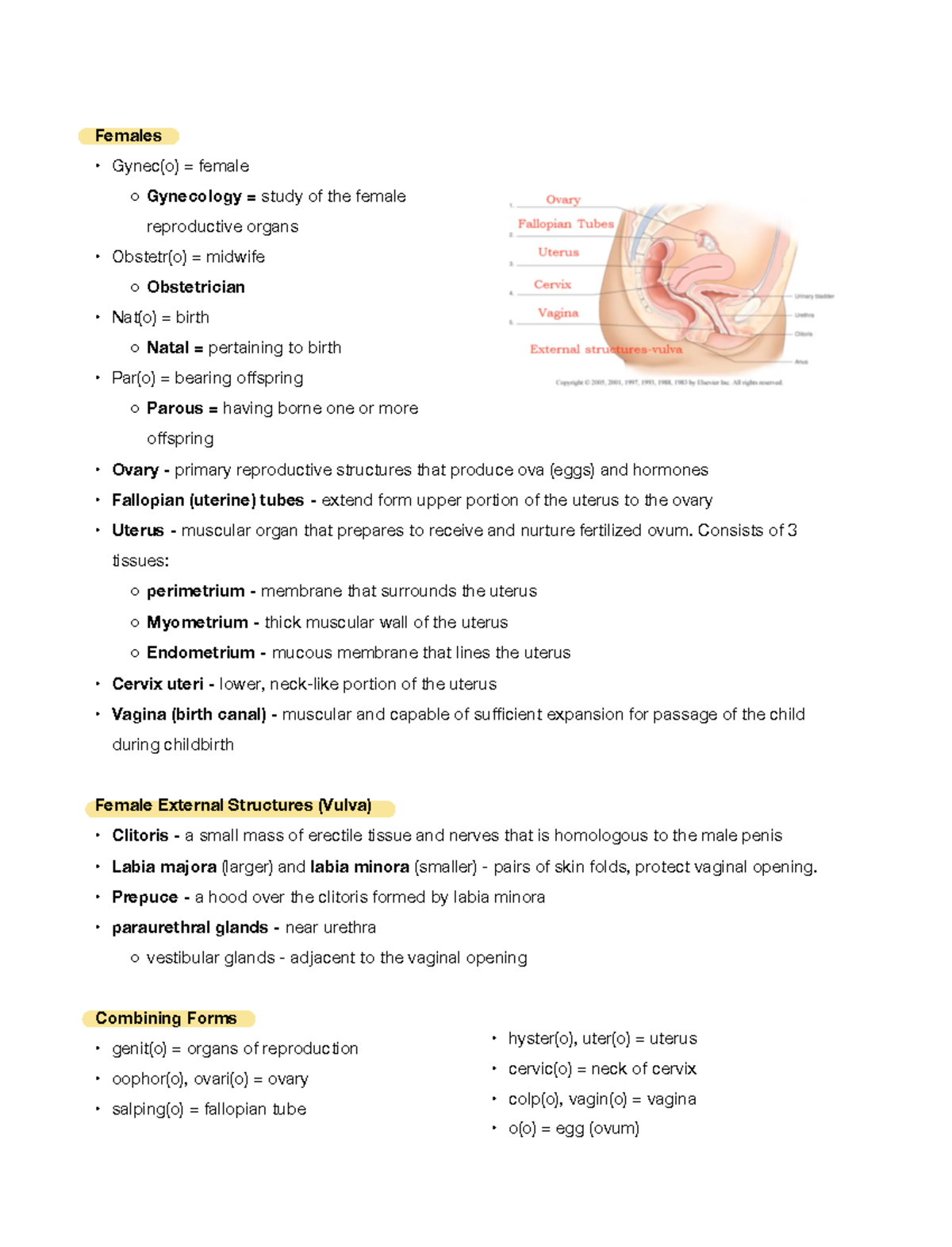 Chapter 8 Reproductive System - Females Gynec(o) = female Gynecology ...