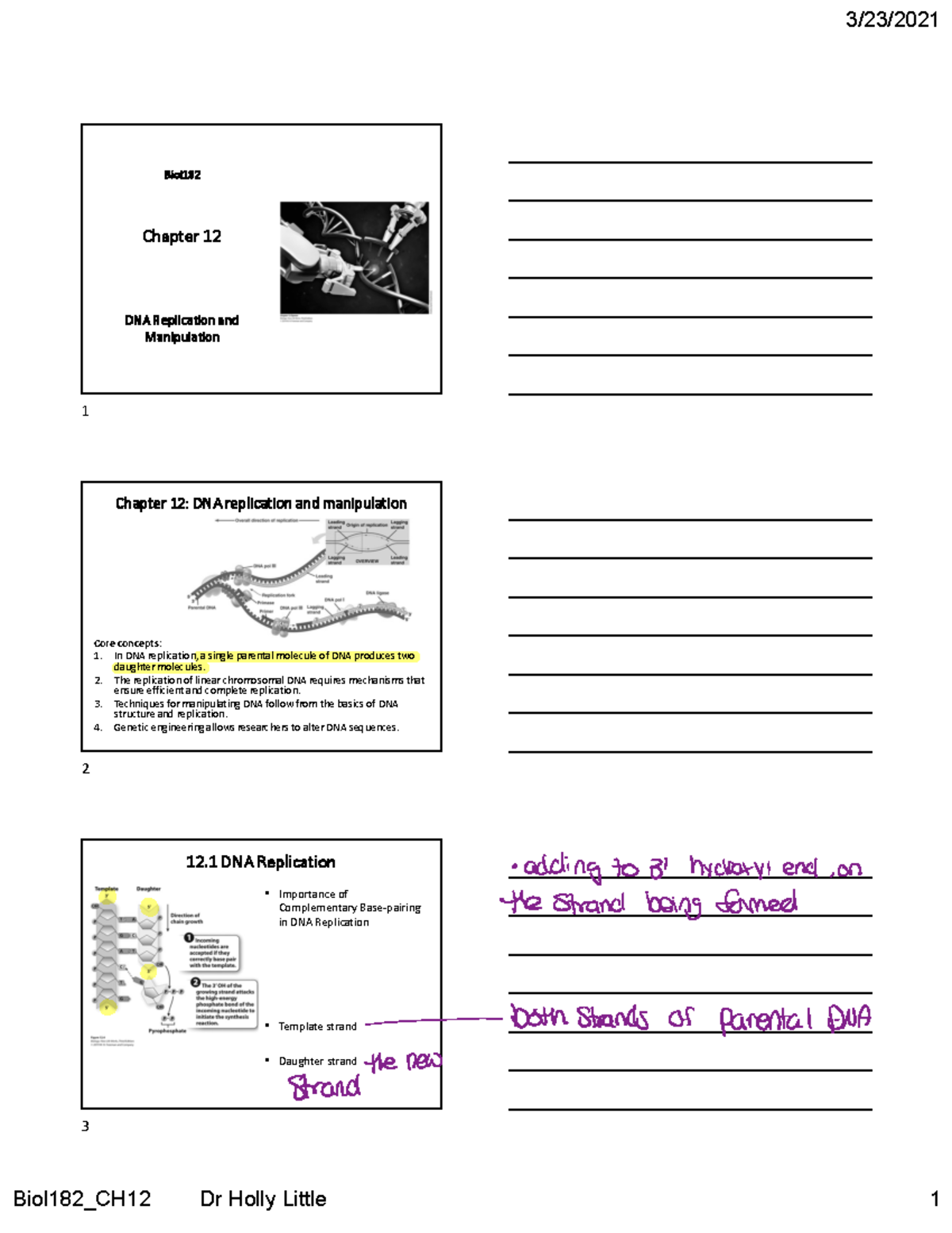 Bio 182 CH 12 - Ch 12 in class notes- Dr. Little - Biol 182 Chapter 12 ...