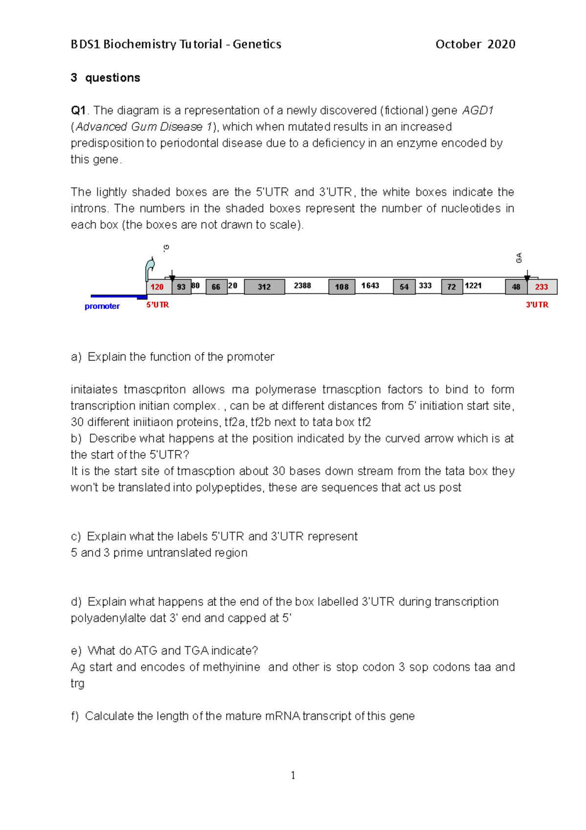 BDS1 Biochemistry Tutorial Genetics Oct 2020 - 120 93 80 20 2388 66 312 ...