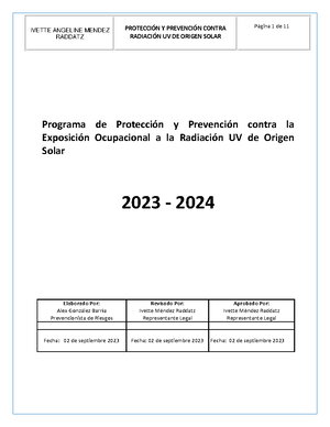 Formulario de Seguridad Minera E200 Simin 2 0 - DECLARACIÓN DE ...