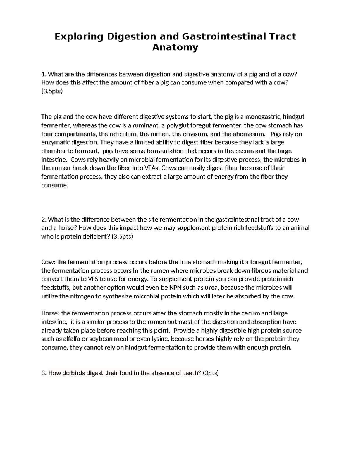 Digestion & GI Anatomy In Class Assignment - Exploring Digestion and ...