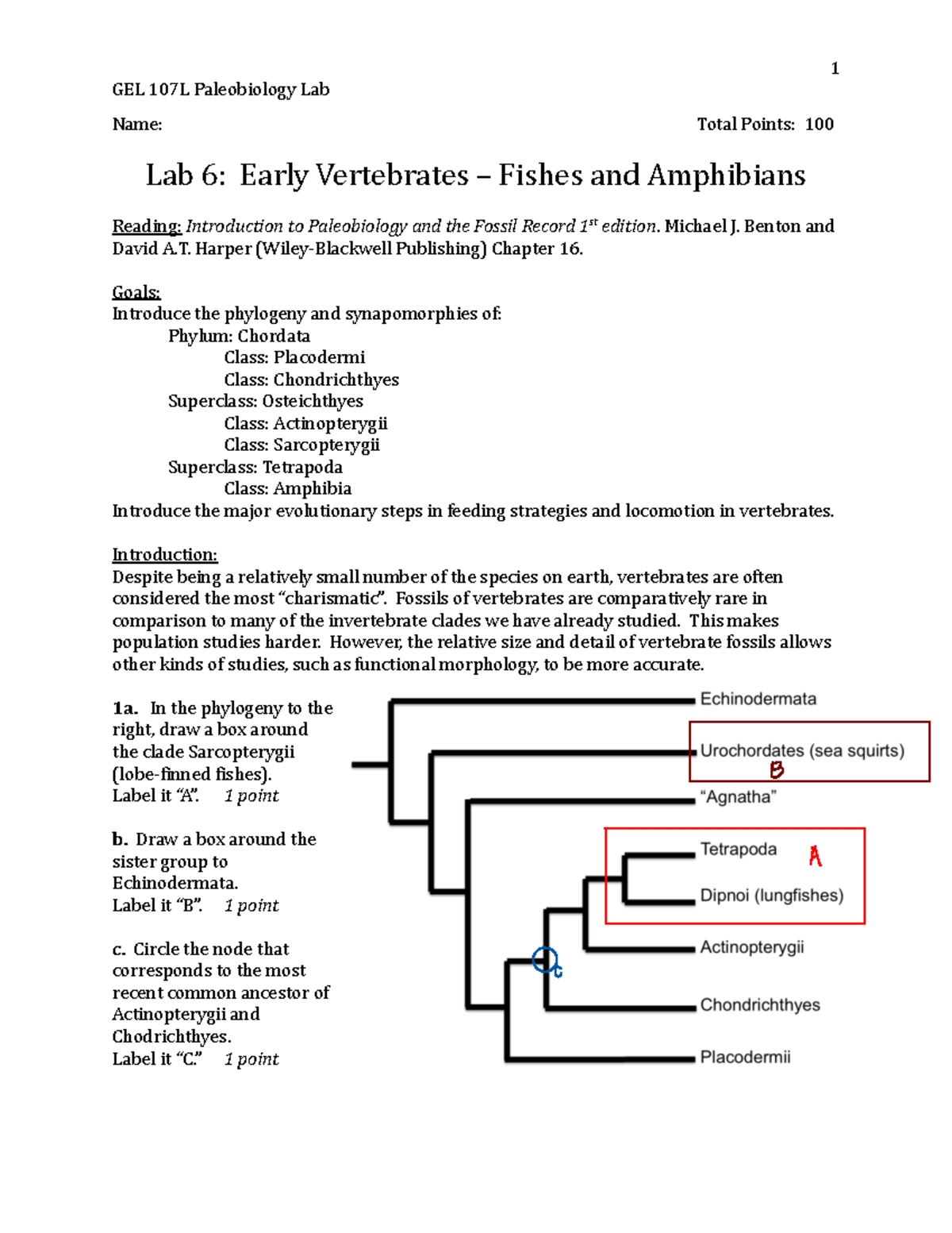 Gel 107 LAB 6 - Labs - GEL 107L Paleobiology Lab Name: Total Points ...