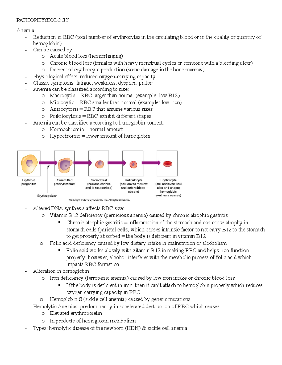 Pathophysiology - notes on patho - PATHOPHYSIOLOGY Anemia - Reduction ...