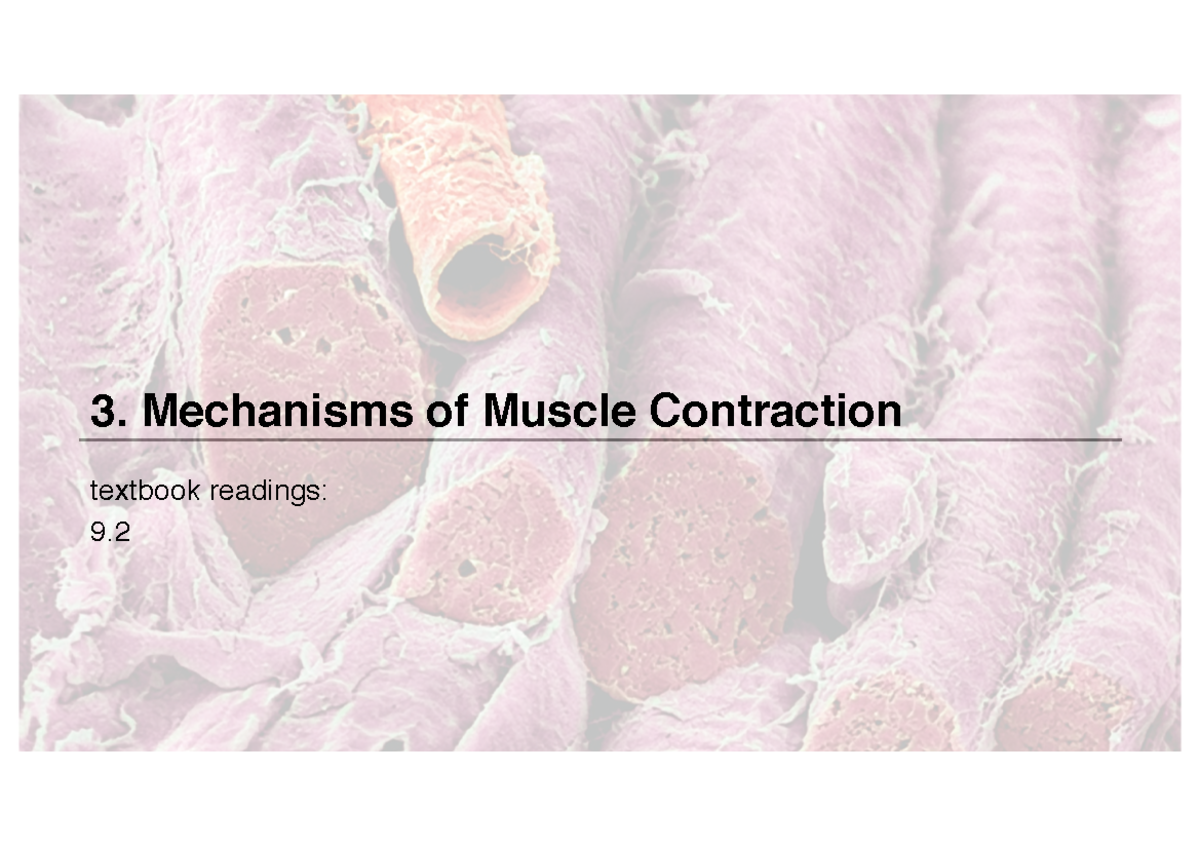 3 Mechanisms of Muscle Contraction - 3. Mechanisms of Muscle ...