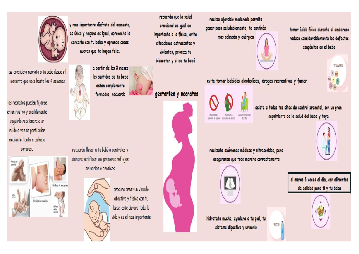 Infografia Desarrollo Neonatal Y Gestantes - pedagogia infantil ...