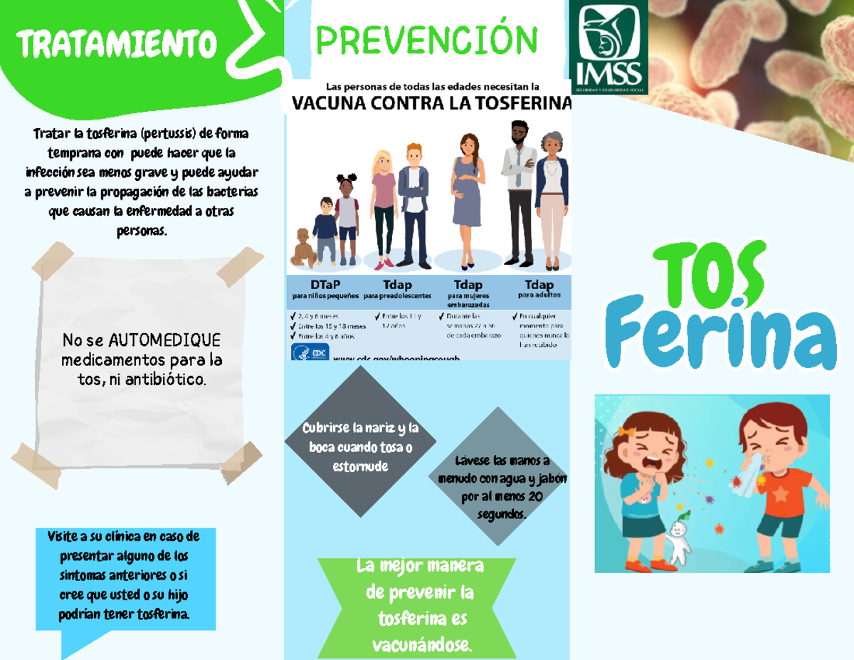 Tosferina Triptico - TRATAMIENTO TOSTOS FerinaFerina PREVENCIÓN ...