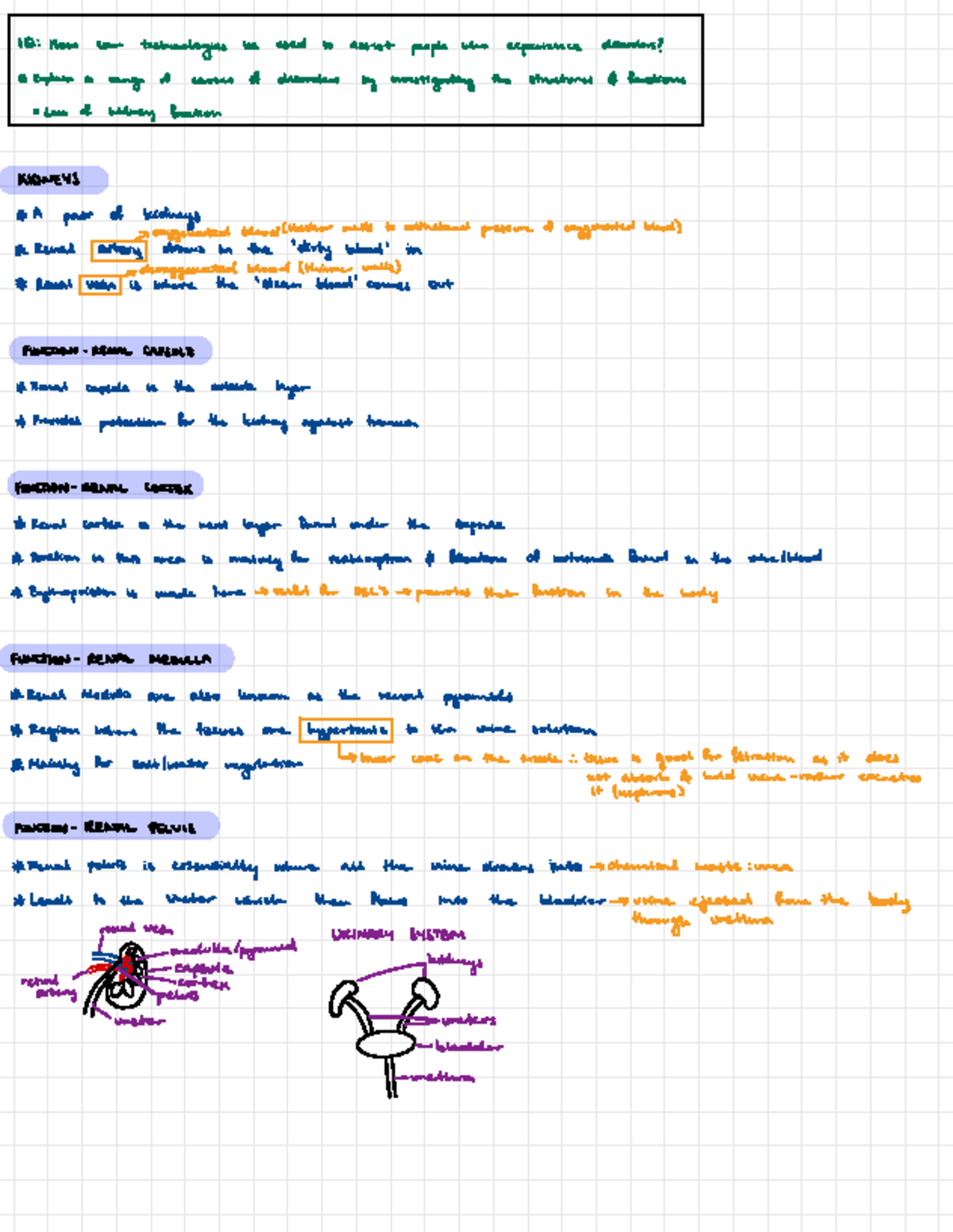 Module 8 - Non Infectious Diseases And Disorders - IQ : How can ...