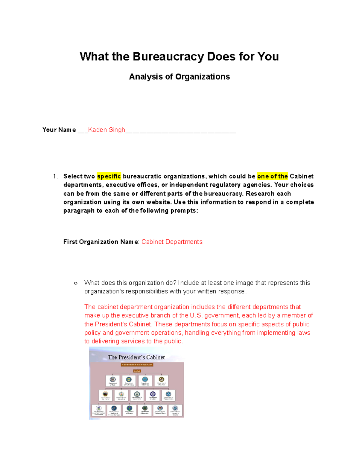2.04 US GOV V23 Assignment Template-2 - What the Bureaucracy Does for ...