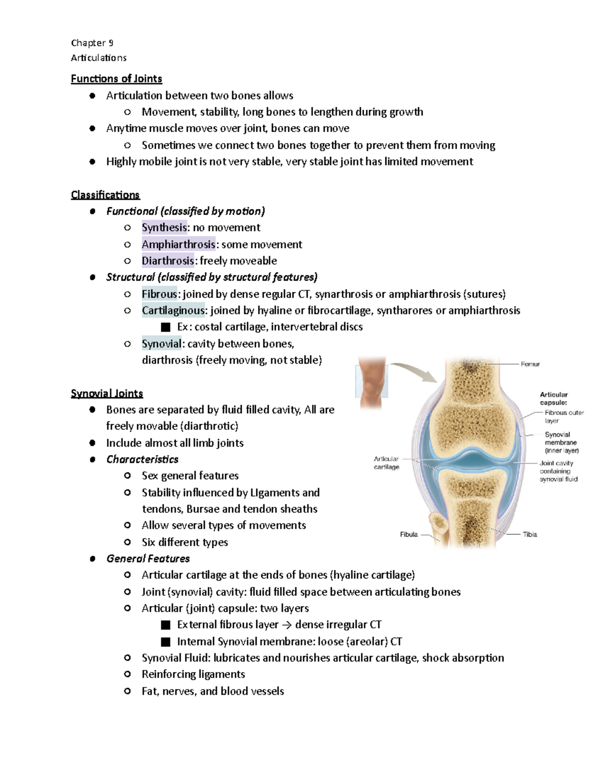 Anatomy and Physiology 101 Chapter 9 Lecture Notes Fall 22 ...