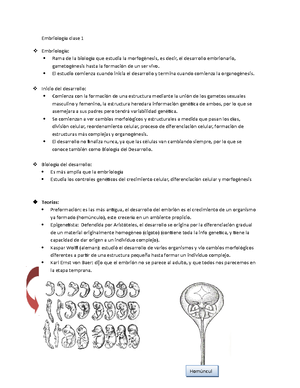 Resumen 3 histología - Derivados del mesodermo Cartílago MESODERMO EN ...