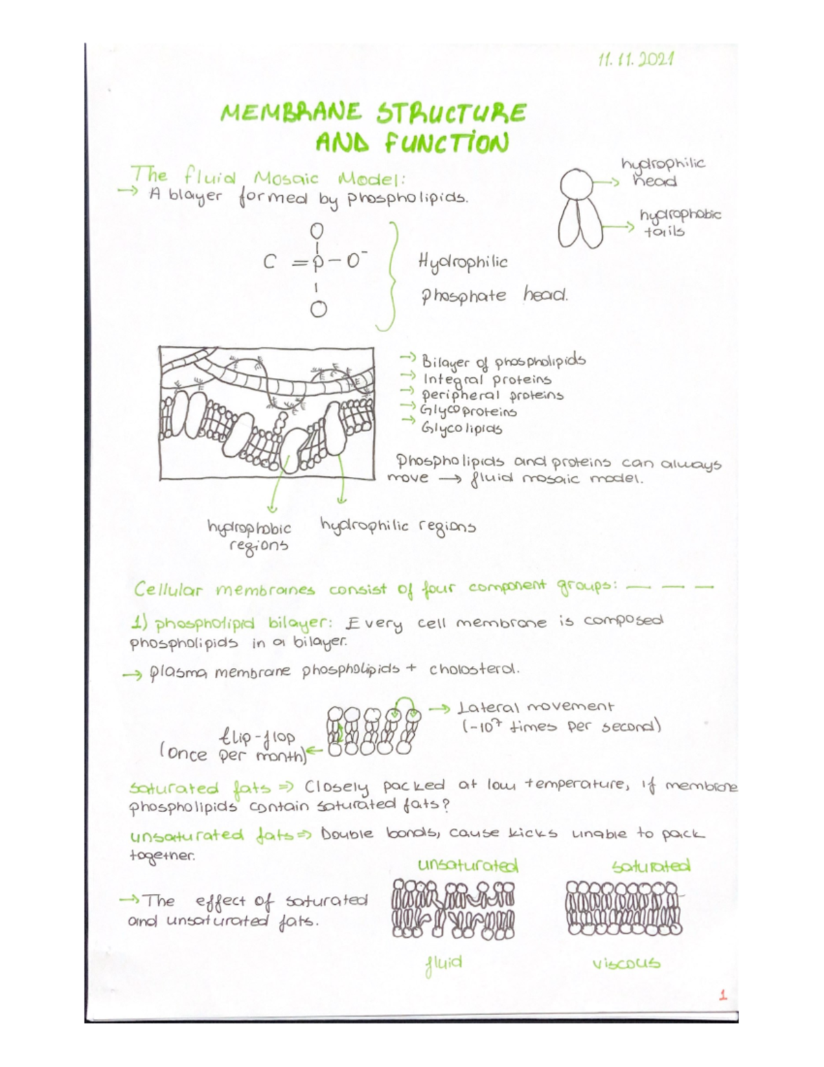 Membrane Structure - These notes are my self study notes from the book ...