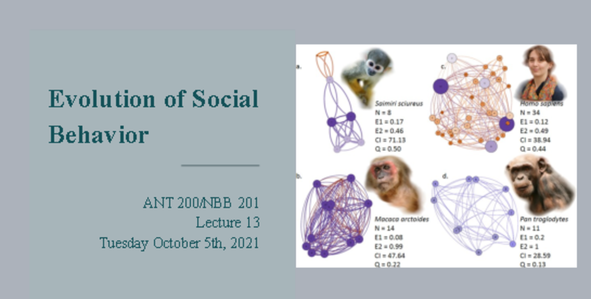 Evolution of Social Behavior 10 04 - Evolution of Social Behavior ANT ...