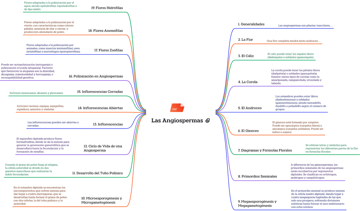 Las Angiospermas - Generalidades Las angiospermas son plantas ...