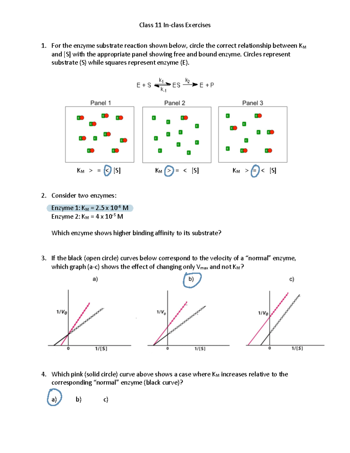 Biochem Assn 3-2 - In Class Work Tifft - Class 11 In-class Exercises ...