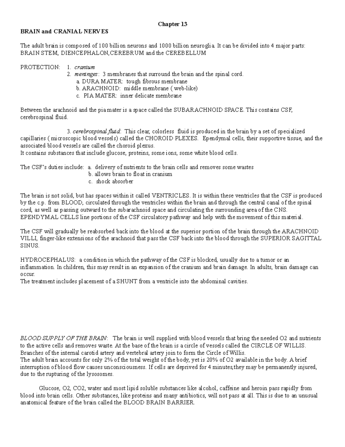 Chapter 13-16 updated notes - Chapter 13 BRAIN and CRANIAL NERVES The ...