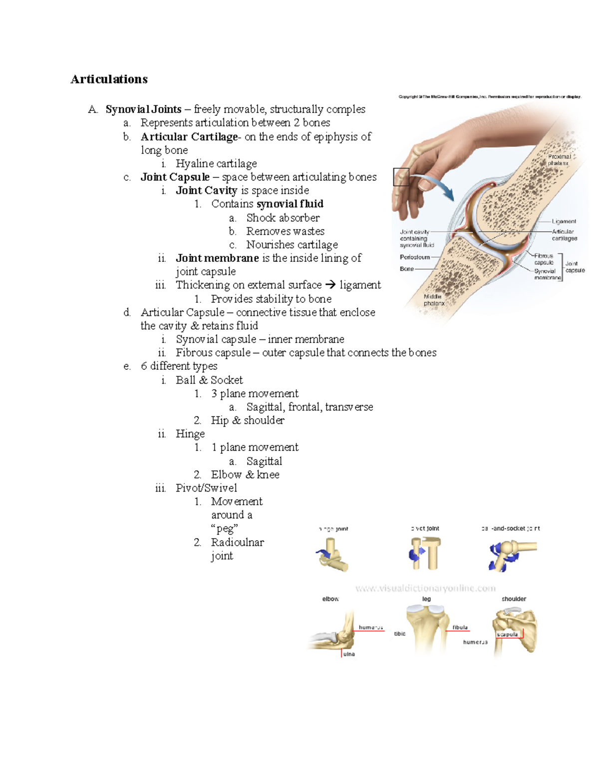 Joint:Movement Final - Joints and their movements. Unit 2 with ...