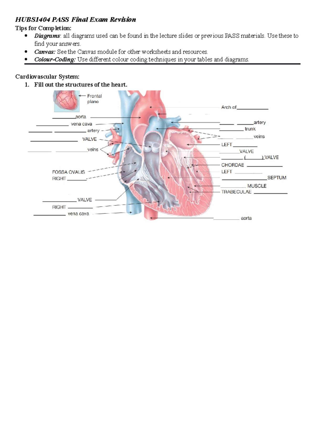 HUBS1404 PASS Final Exam Revision-1 - Use these to find your answers. Canvas: See the Canvas ...