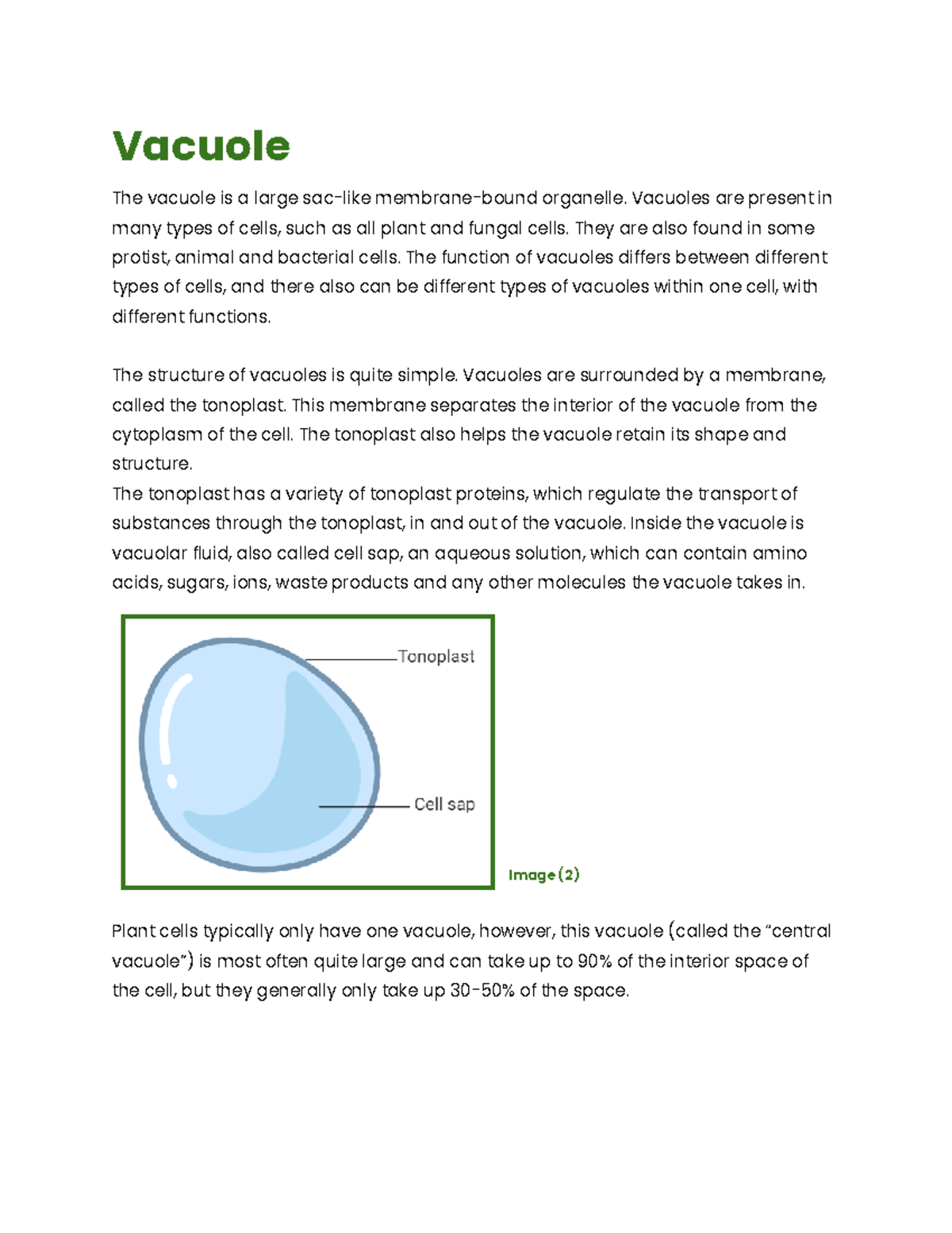 Vacuole - Biology Year 11 - Vacuole The vacuole is a large sac-like ...