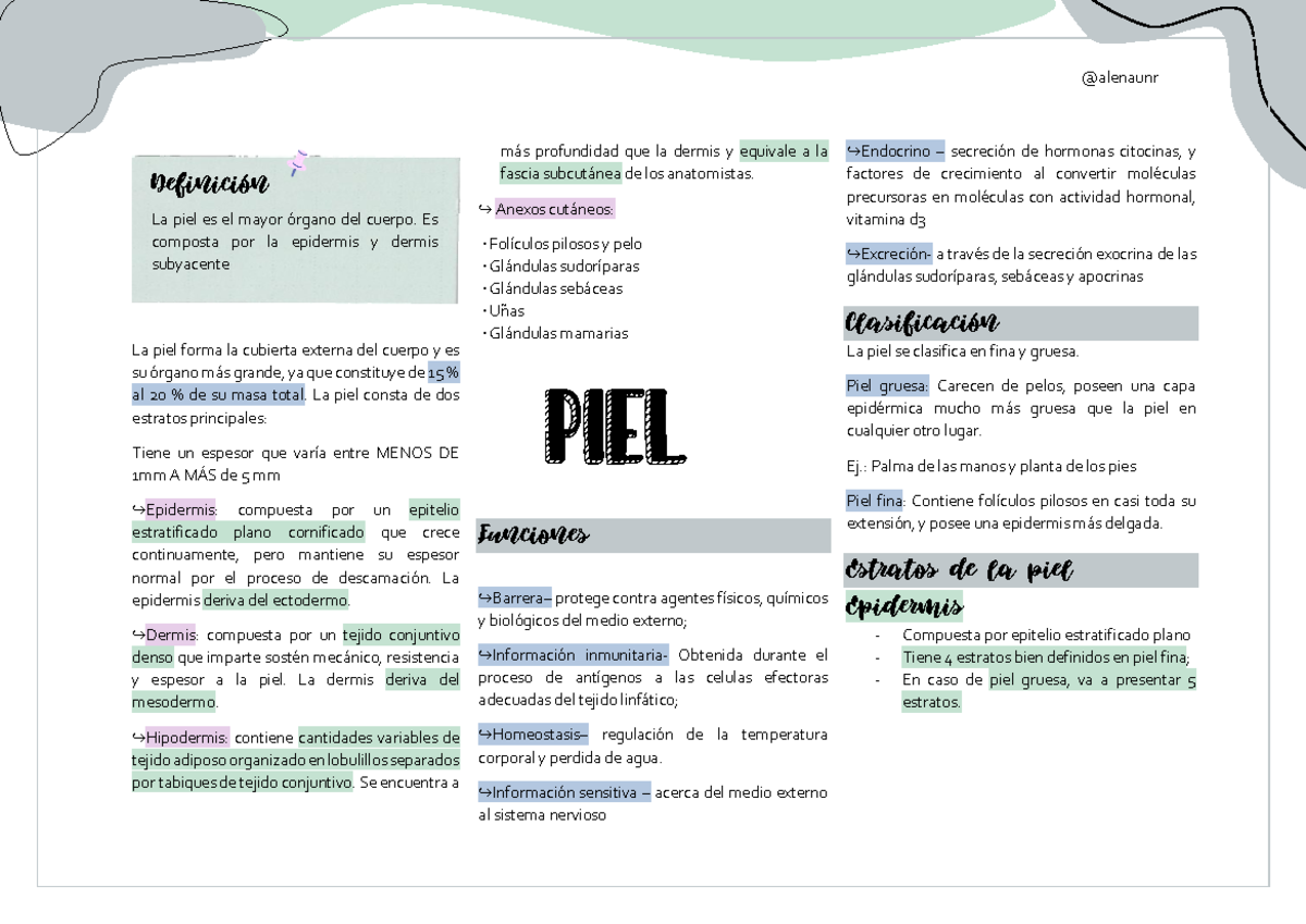 apunte de histologia de piel ross - La piel forma la cubierta externa ...