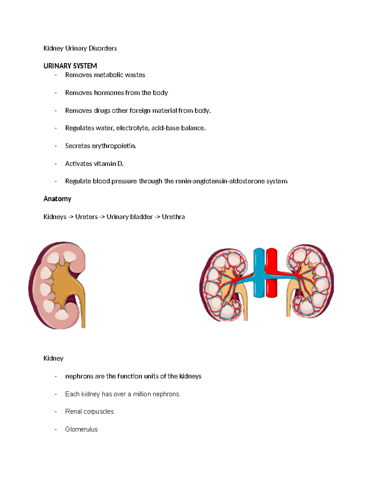 Urinary disorders - patho - Kidney Urinary Disorders URINARY SYSTEM ...