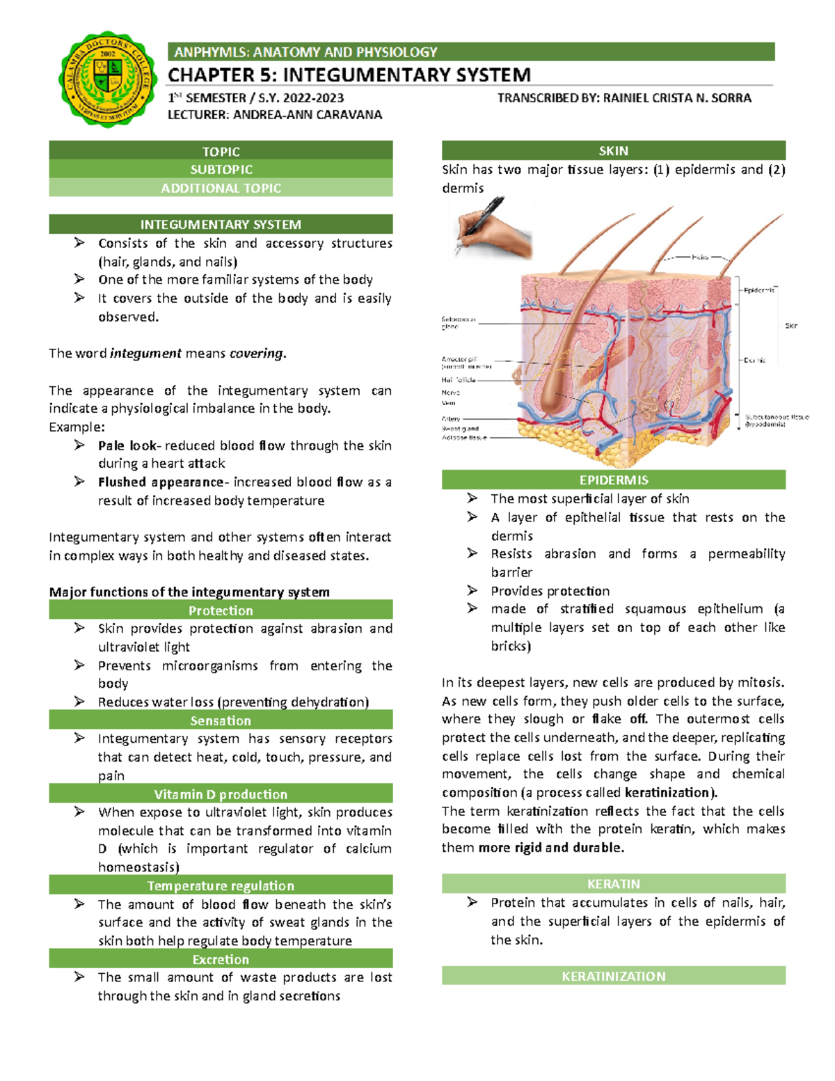 integumentary system - TOPIC SUBTOPIC ADDITIONAL TOPIC INTEGUMENTARY ...