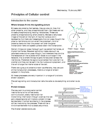 CELL0011 Model Organisms - CELL0011: Model Organisms PART 1: Why are ...