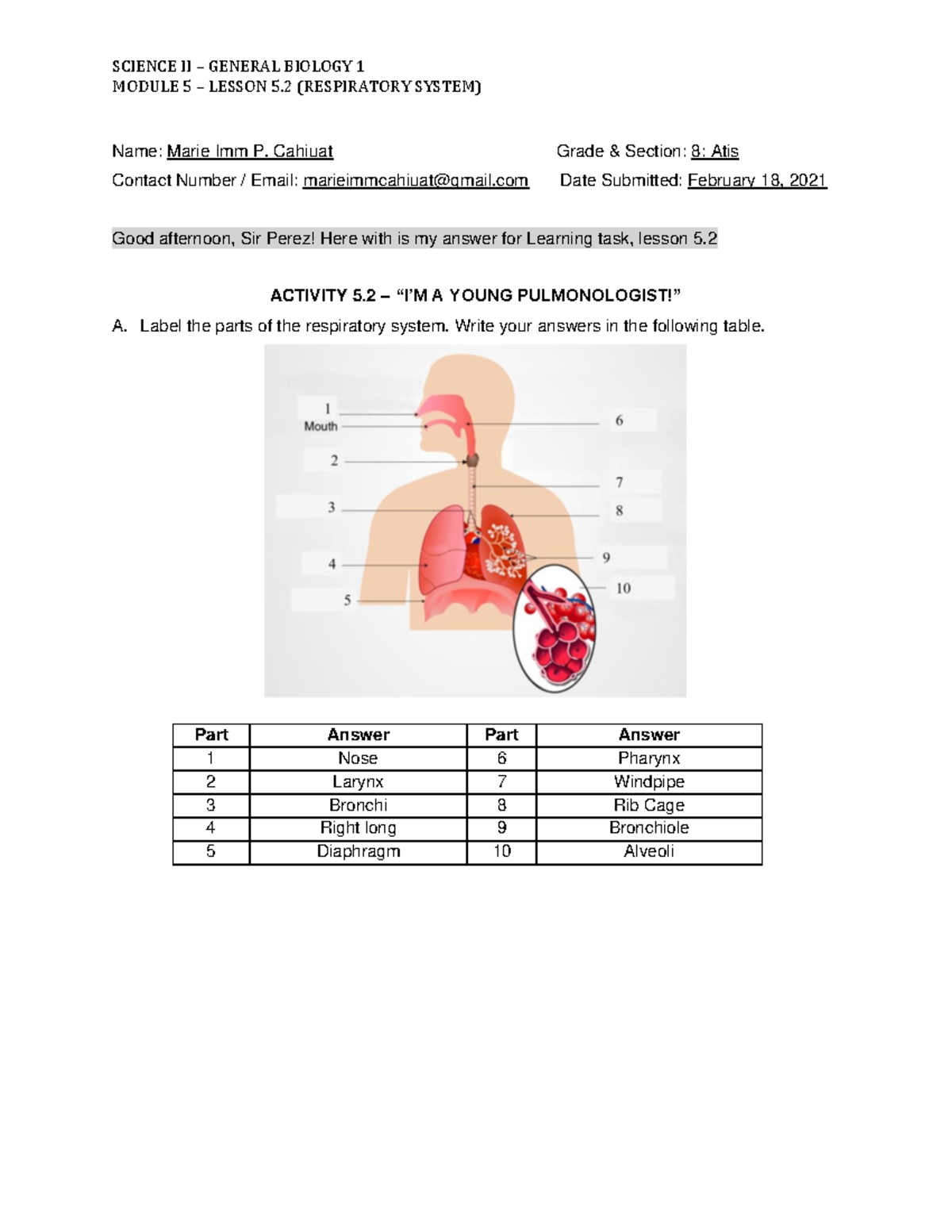 Activity 5.2 Worksheet - SCIENCE II – GENERAL BIOLOGY 1 MODULE 5 ...