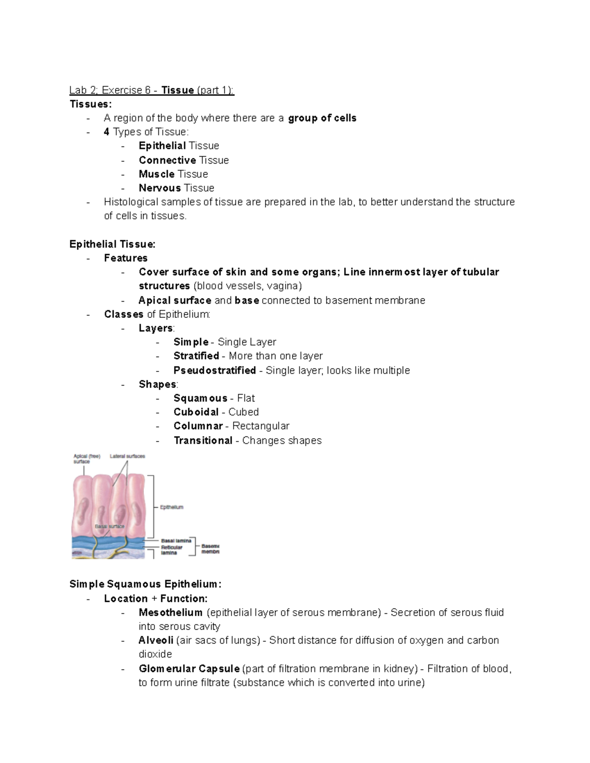 Anatomy and Physiology Lab 2 - Week 2, Exercise 6 - Lab 2; Exercise 6 ...
