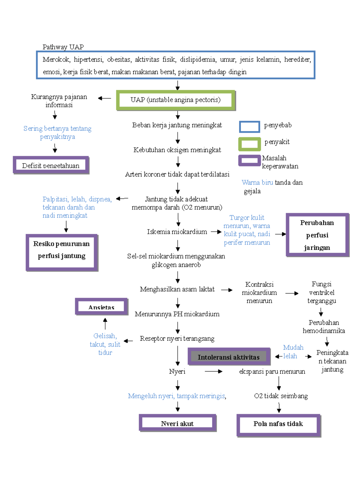 Penjelasan pathway uap - Pathway UAP Merokok, hipertensi, obesitas ...