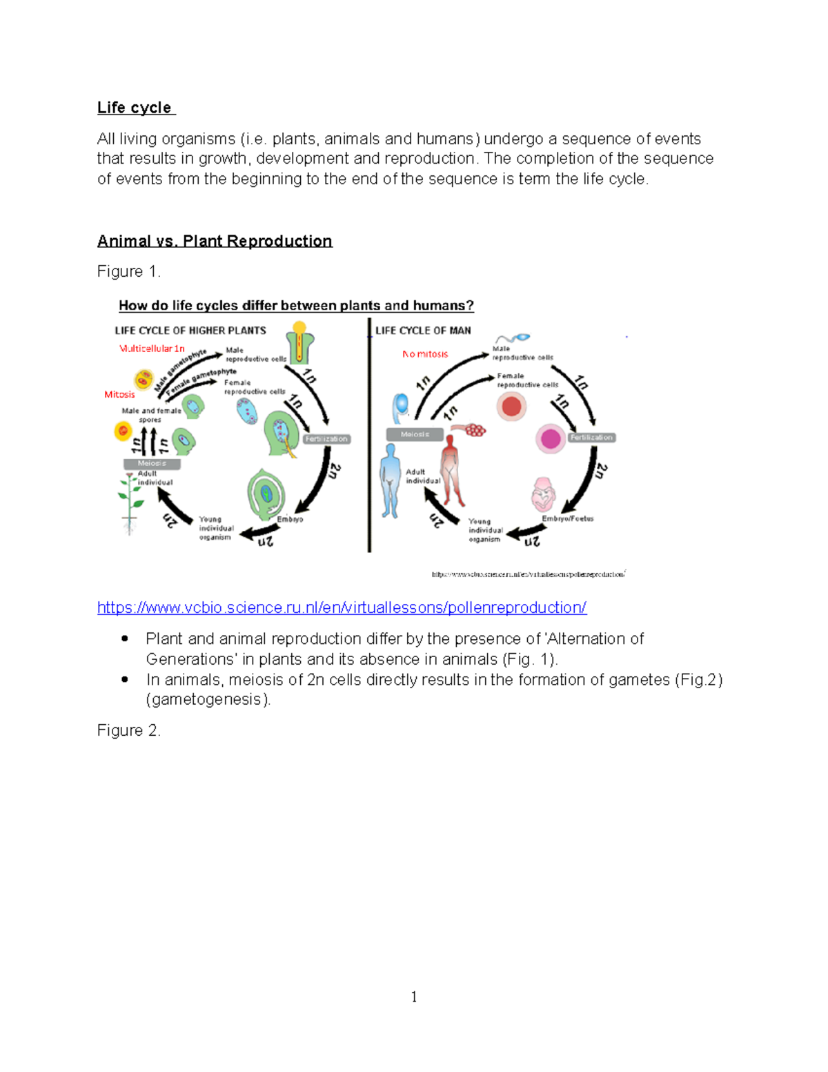 (1)Life cycle - Lecture 1 - Life cycle All living organisms (i. plants ...