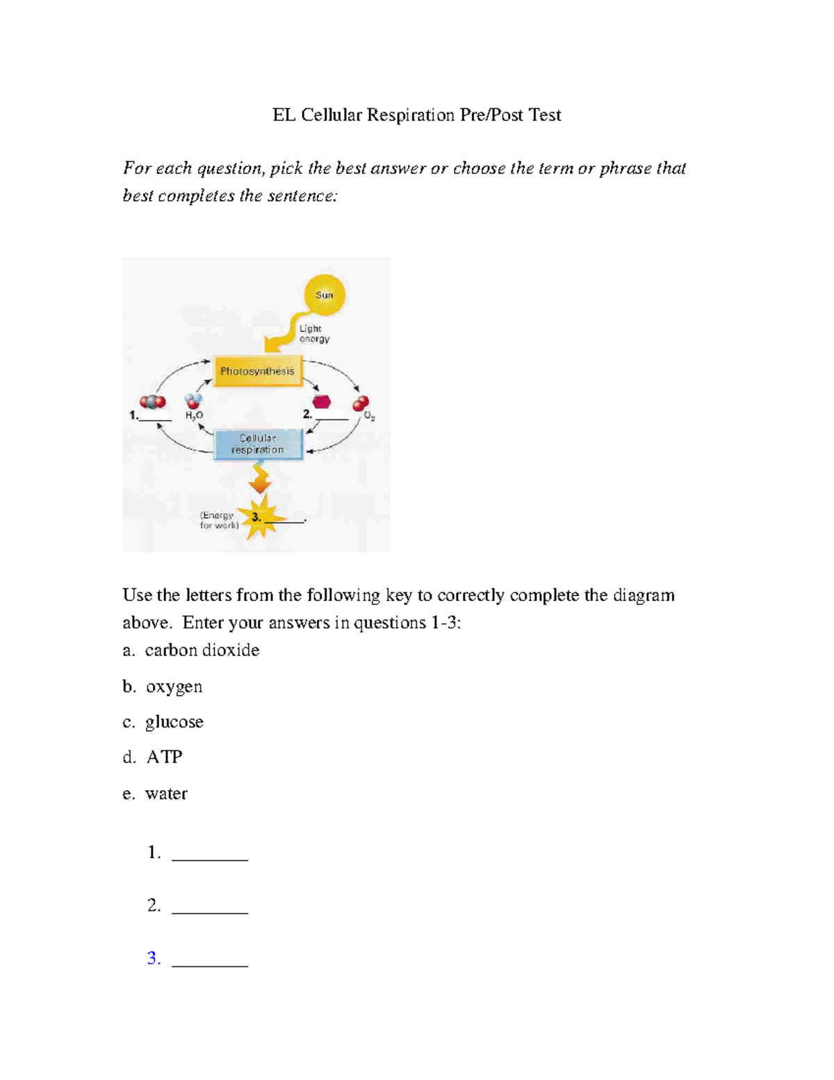Cellular Respiration Review - Copy - EL Cellular Respiration Pre/Post ...