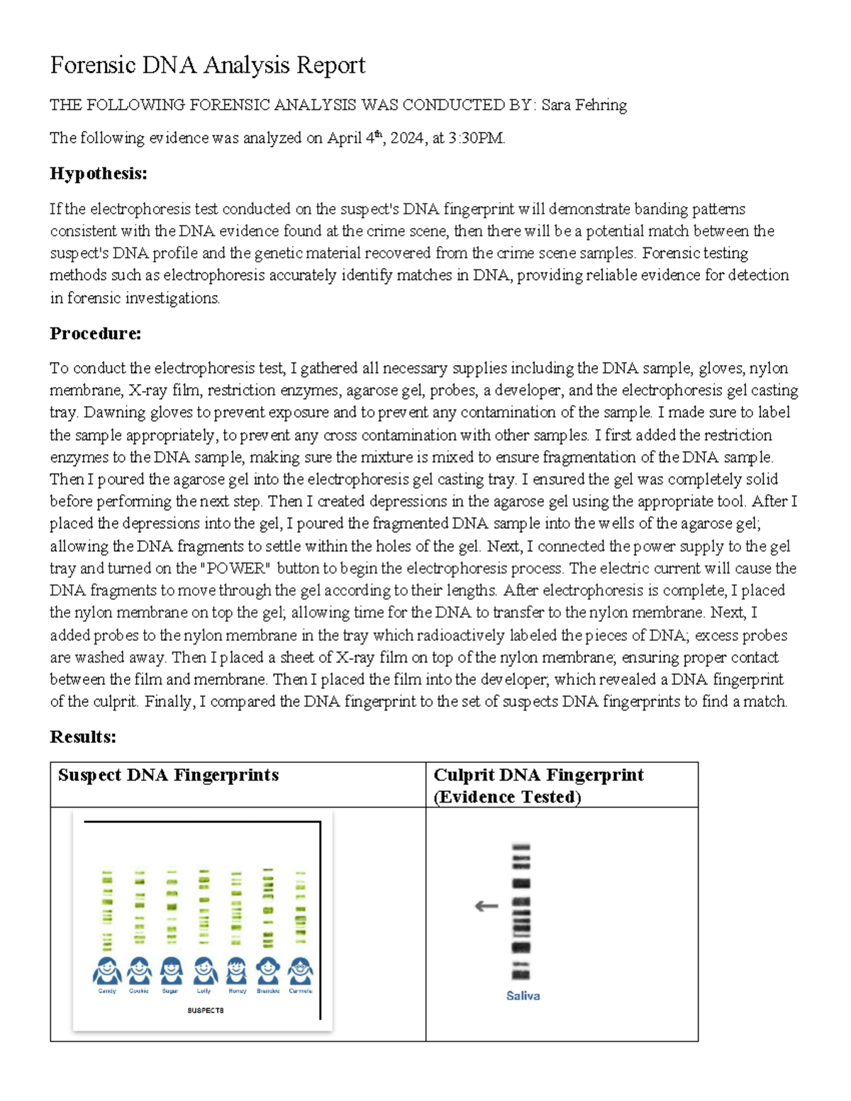 Forensic DNA Analysis Report - Hypothesis: If the electrophoresis test ...