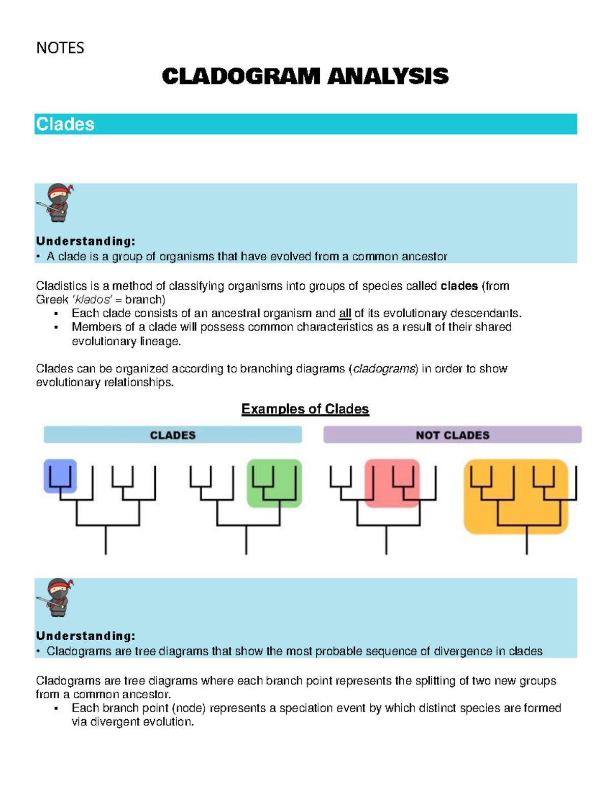 Notes - Cladogram Analysis - NOTES CLADOGRAM ANALYSIS Clades ...
