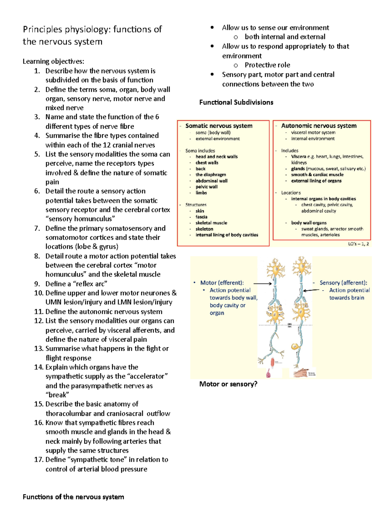 Functions of the nervous system - Principles physiology: functions of ...