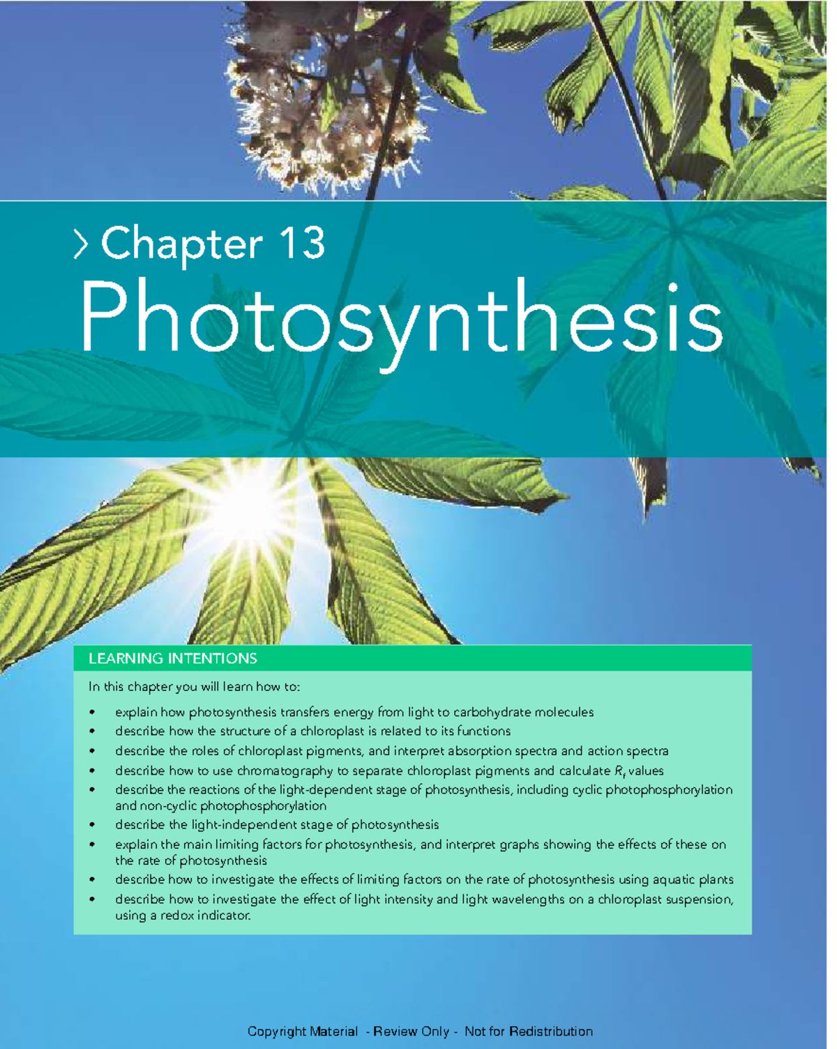 13 - Photosynthesis - Chapter 13 Photosynthesis LEARNING INTENTIONS In ...