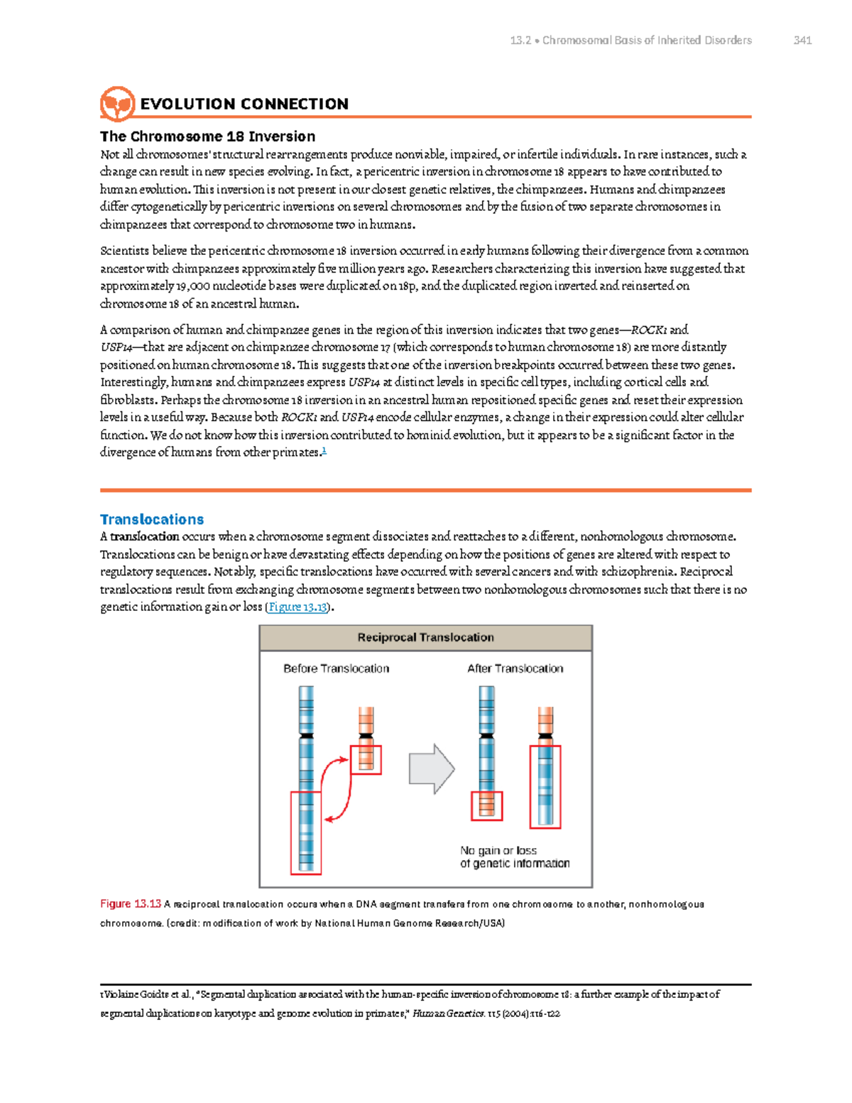 Chapter 13 Modern Understandings of Inheritance Part 7 - EVOLUTION CONNECTION The Chromosome 18 ...