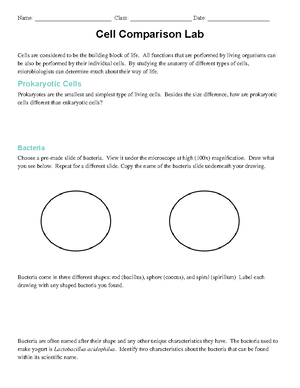 Eukaryotic Cell Structure and Function Study Guide - Name