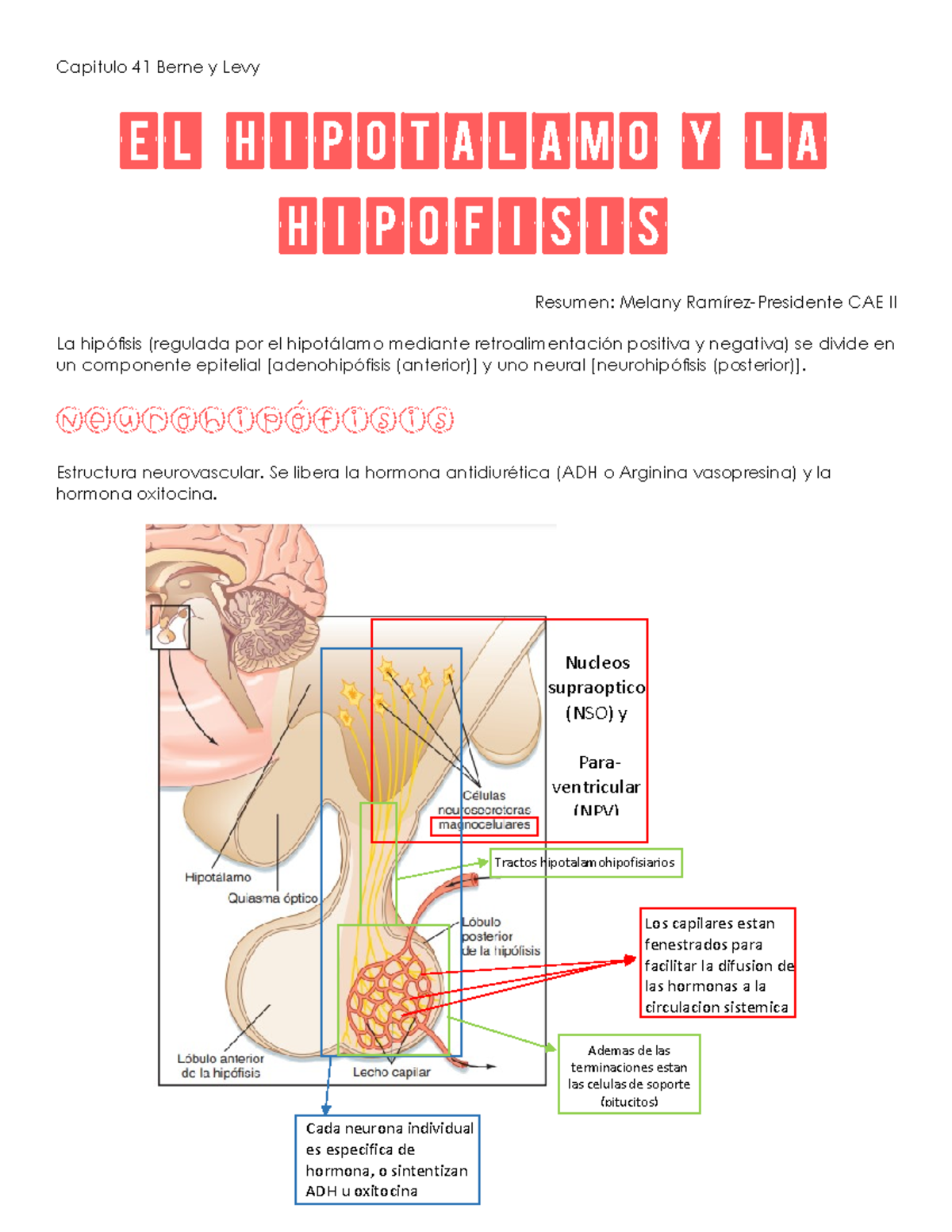 Capitulo 41 Berne y Levy - Capitulo 41 Berne y Levy El Hipotalamo y la ...