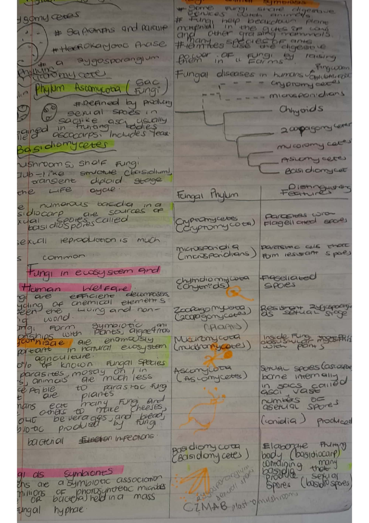 Plants 5 - NOTES - Studocu