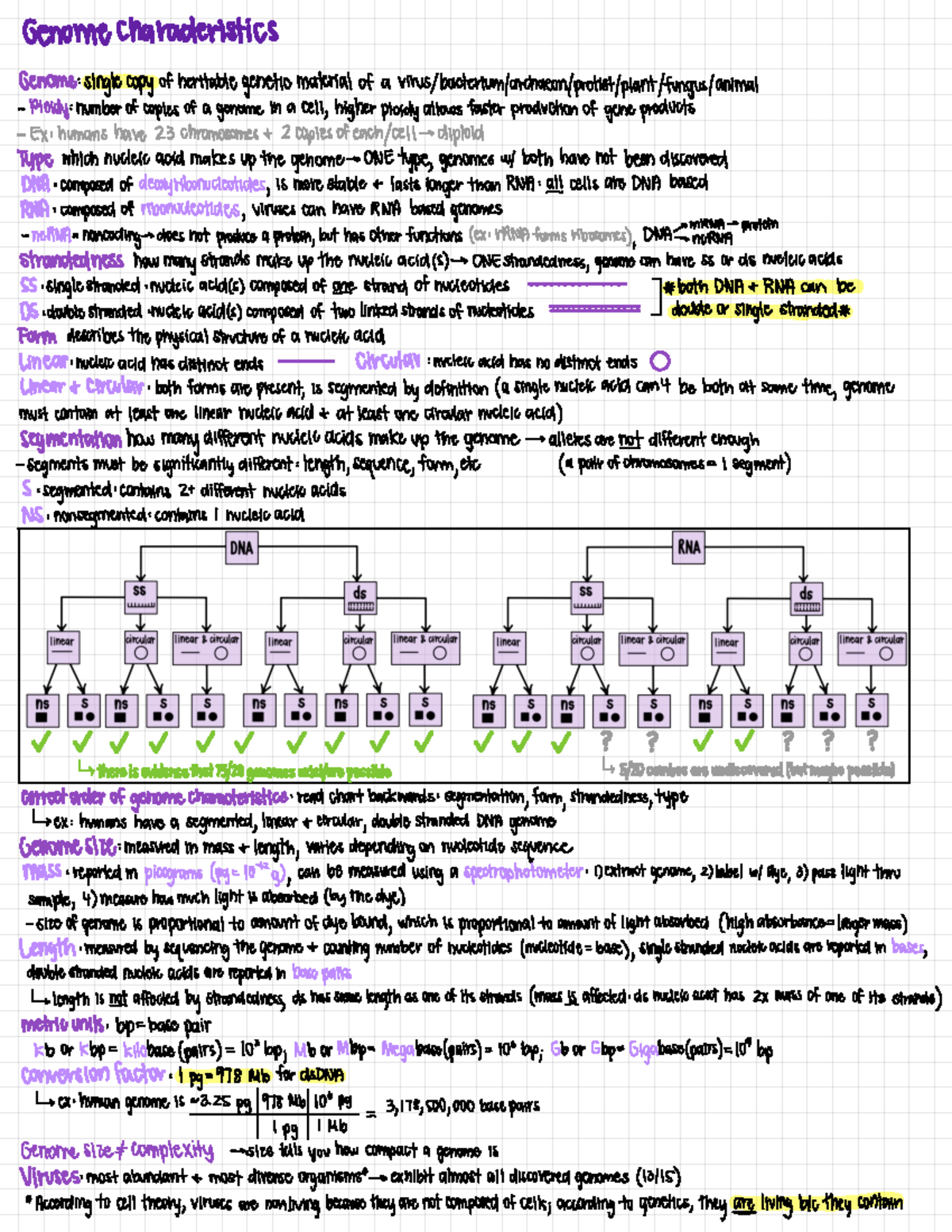 Genome characteristics - Genome characteristics Genome:single copy of heritable genetic material ...
