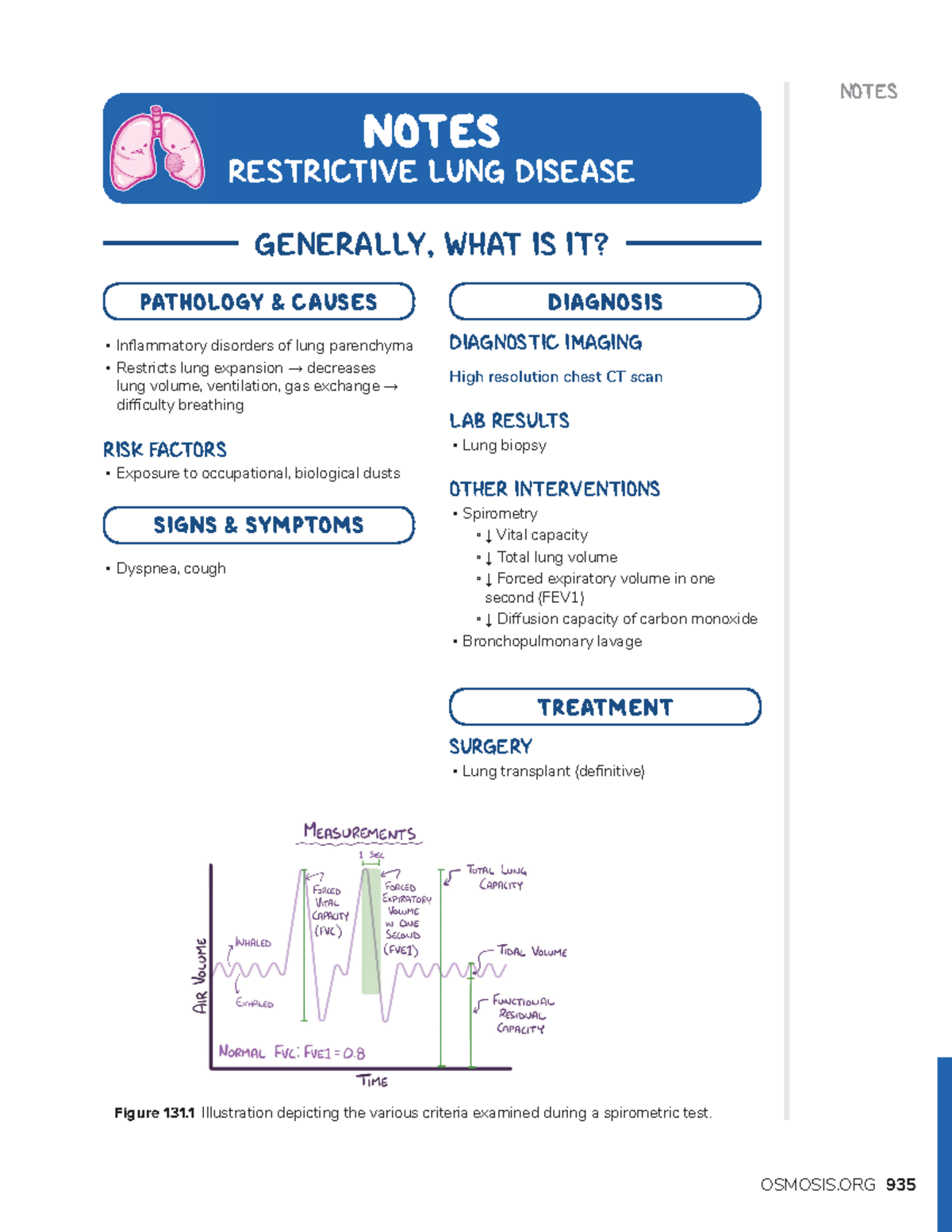 Restrictive lung disease - NOTES NOTES RESTRICTIVE LUNG DISEASE ...