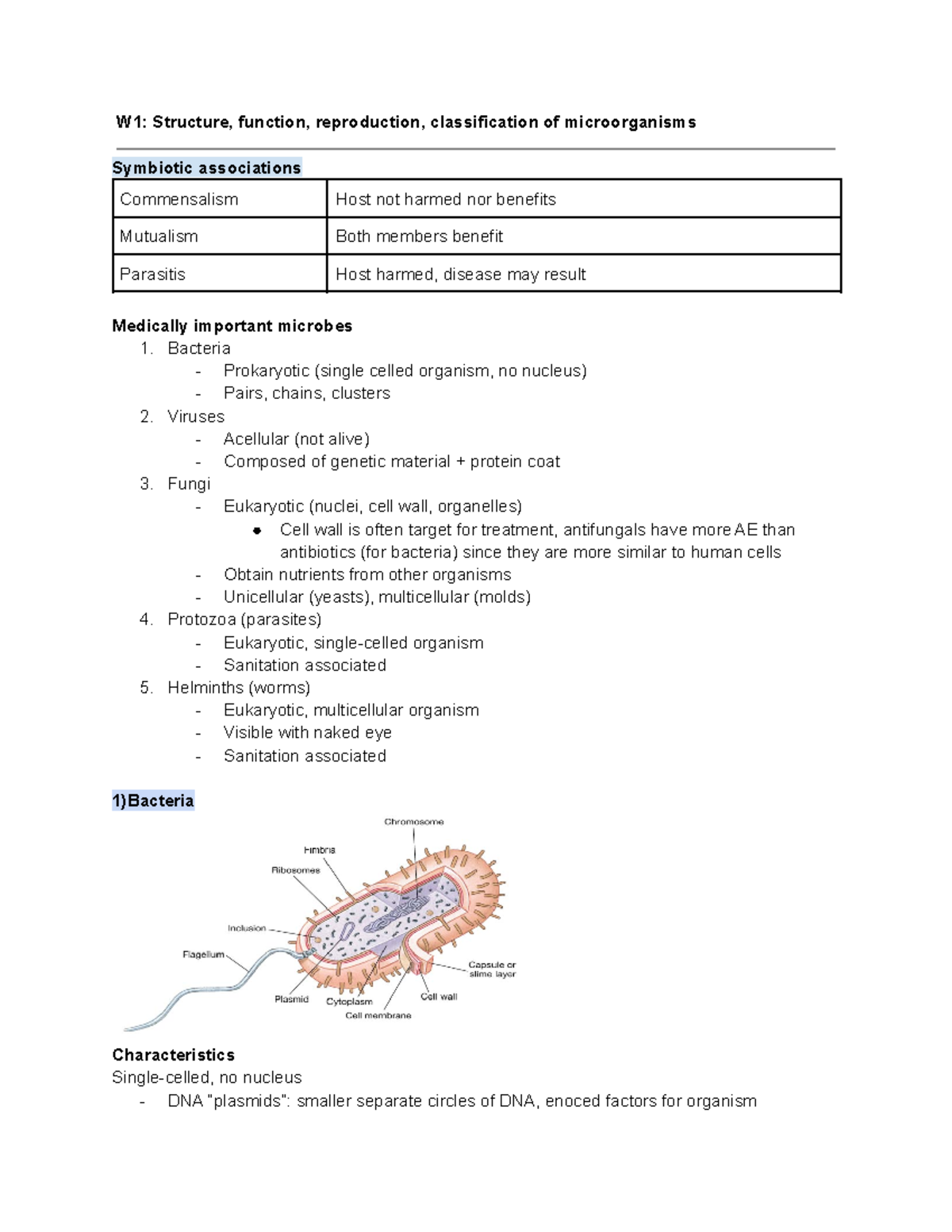 W1 Structure, function, reproduction, classification of microorganisms - Bacteria - Prokaryotic ...